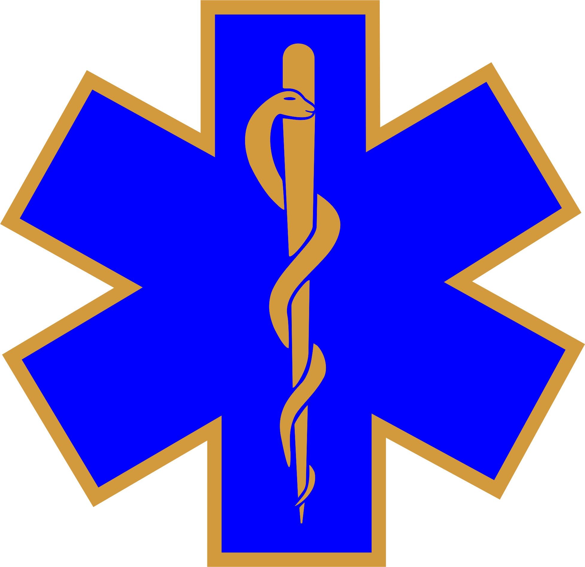 EMS Star with Gold Outline and Staff Decal – Powercall Sirens LLC